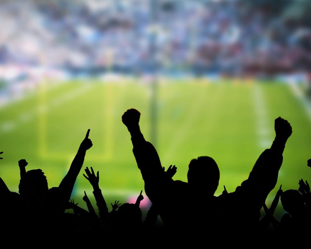 Case Study | NFL Fan Experience Analysis